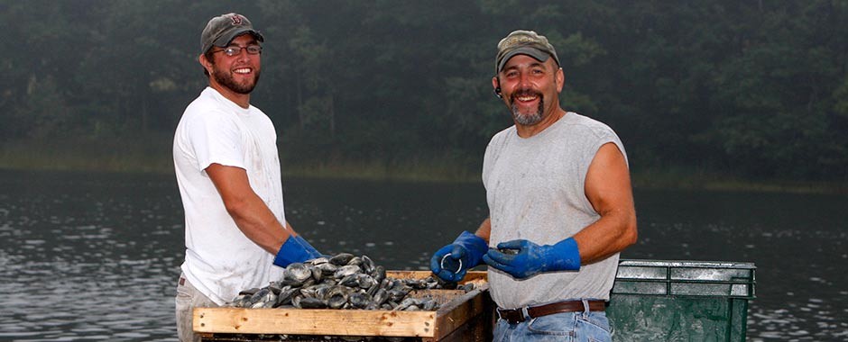 Hard Shell Clams » Atlantic Aqua Farms USA