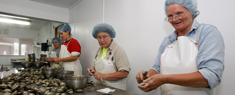 Soft Shell Clams » Atlantic Aqua Farms USA