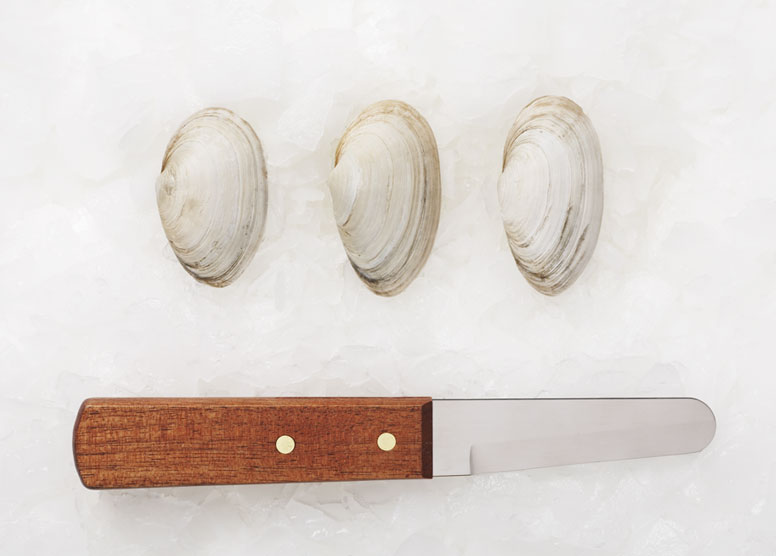 Soft Shell Clams » Atlantic Aqua Farms USA